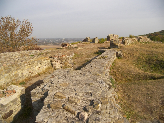 Tarnowski Castle - Tarnów